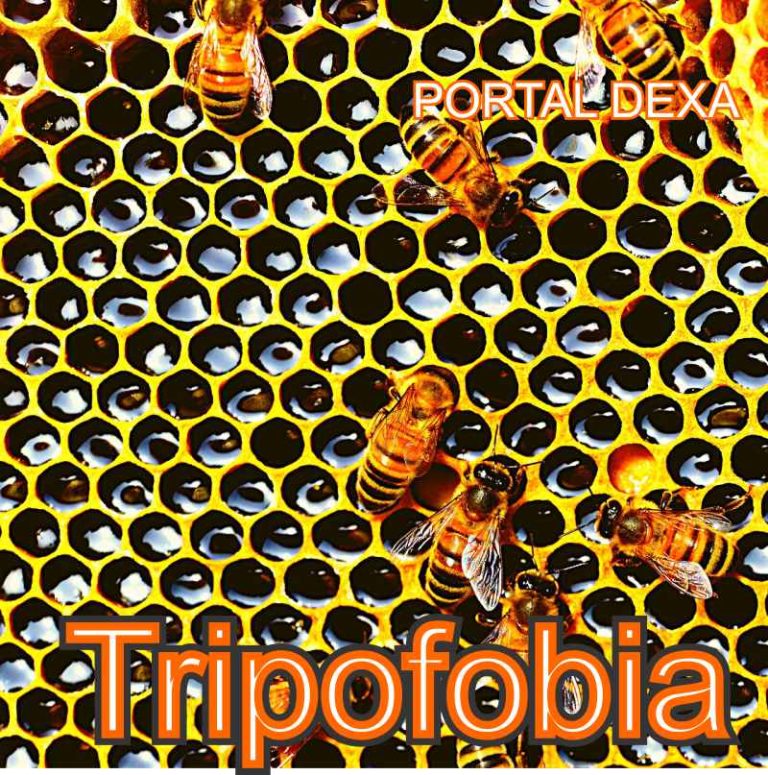 Tripofobia, qué es, imágenes, afectados - Portal Dexa