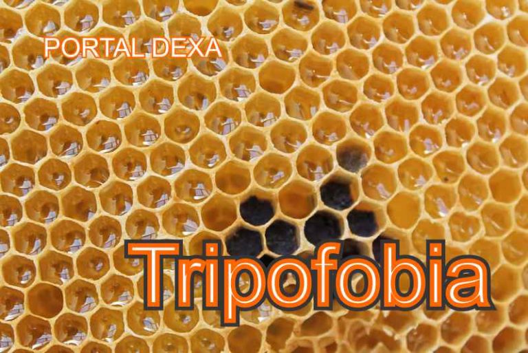 Tripofobia, qué es, imágenes, afectados - Portal Dexa